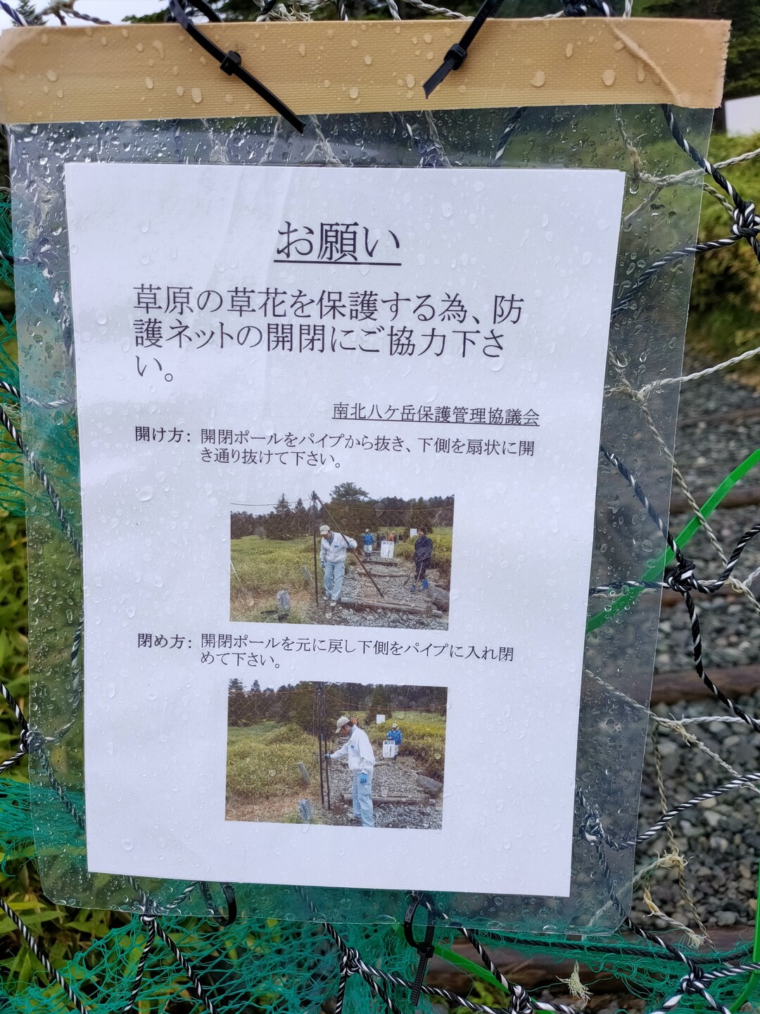 Mamincoさんの投稿したフィールドメモ | YAMAP / ヤマップ