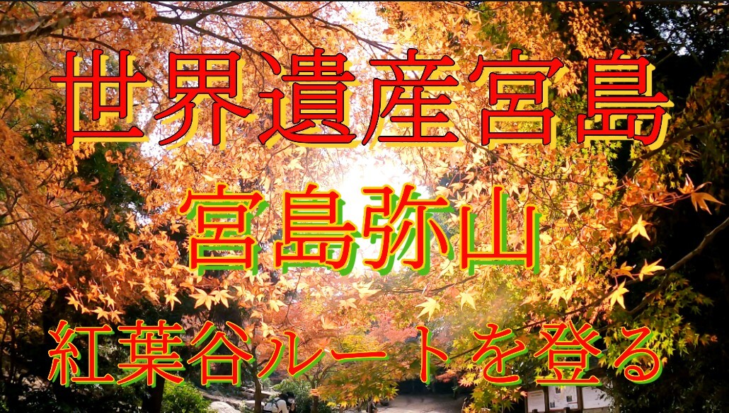 【YouTube】https://you... / 6Kのパンチョさんのモーメント | YAMAP / ヤマップ