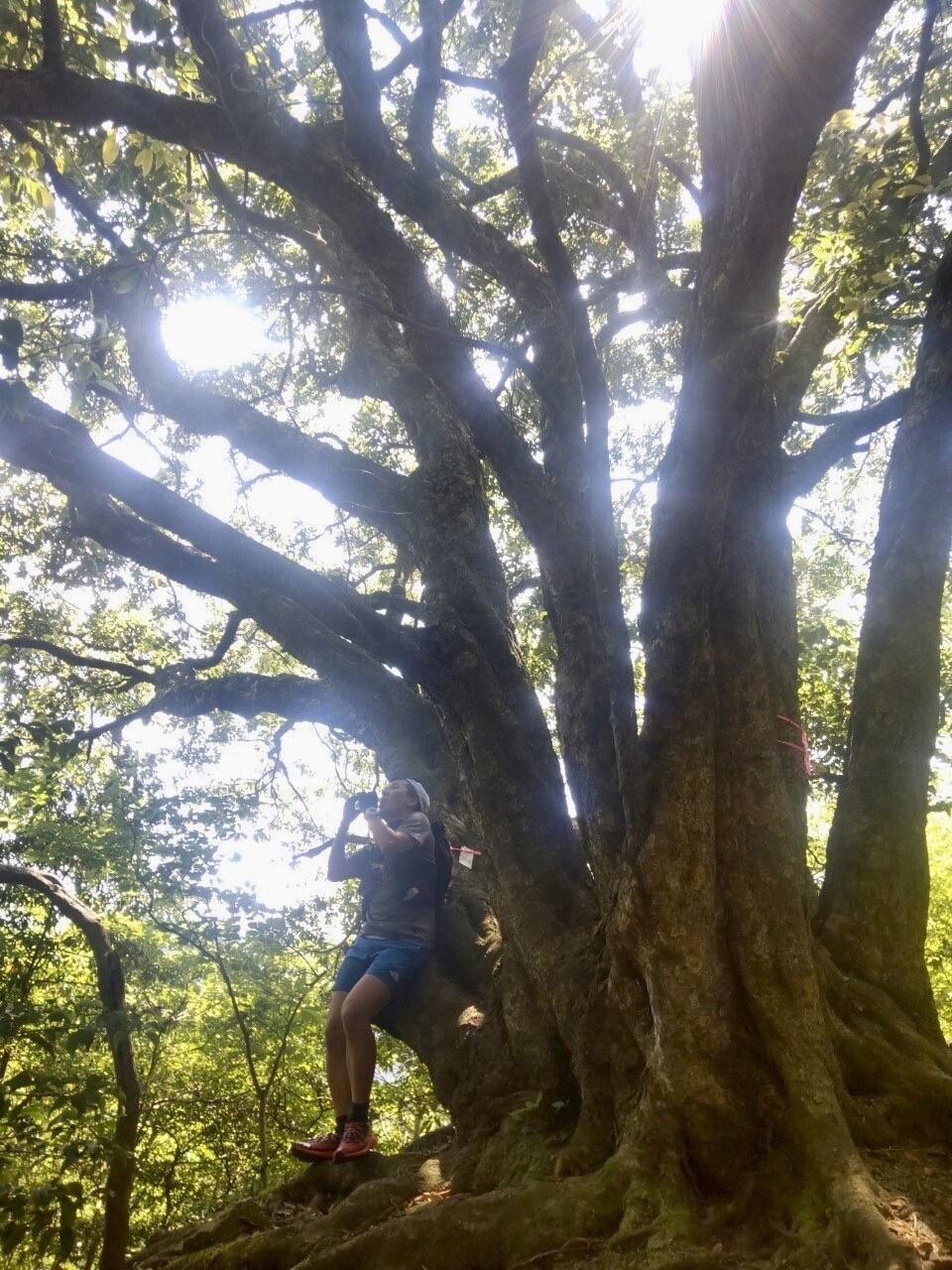 ちょっとオカリナを奏でに裏六甲へ / ippeioさんの六甲山・長峰山・摩耶山の活動データ | YAMAP / ヤマップ