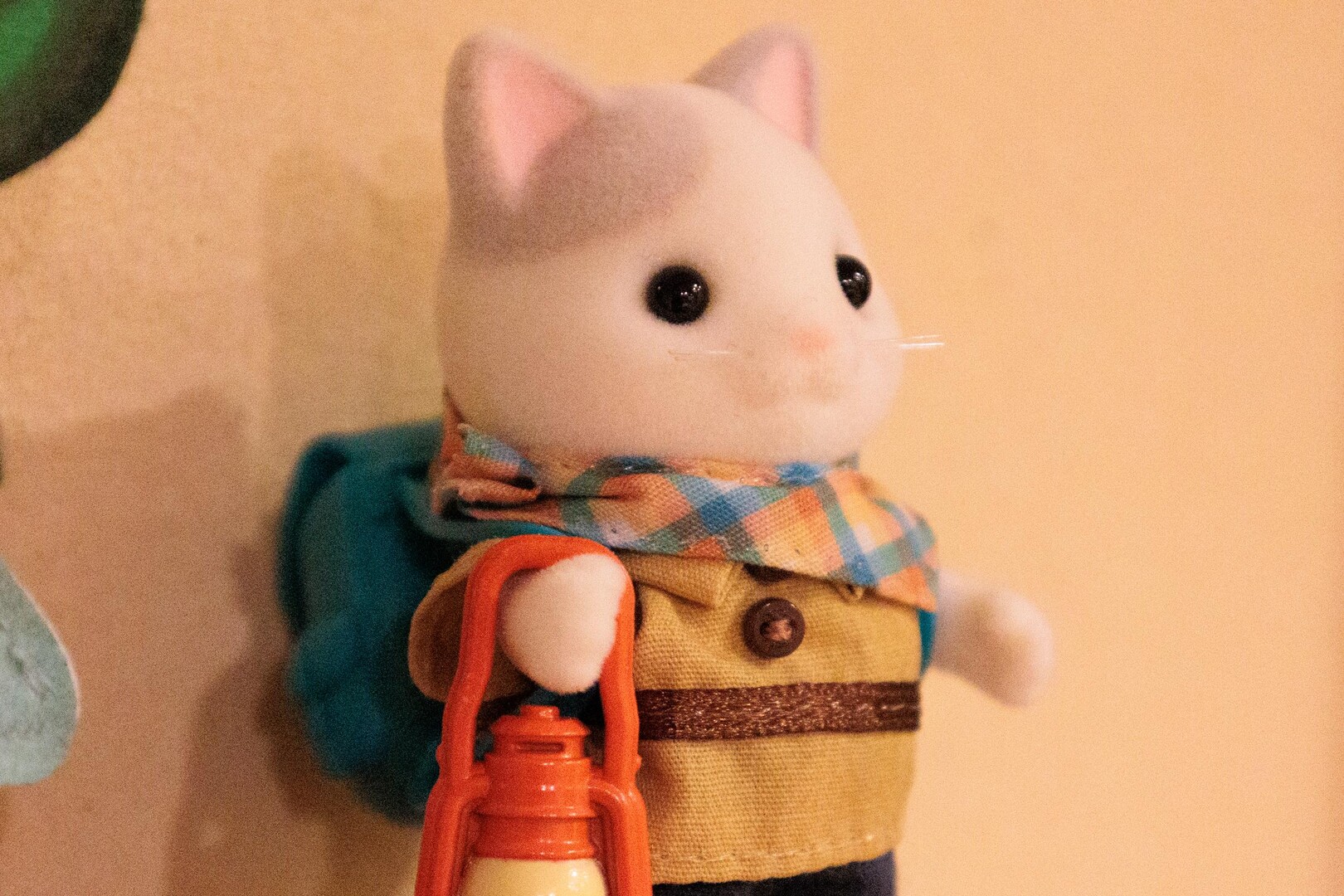 iwanagaのページ | YAMAP / ヤマップ