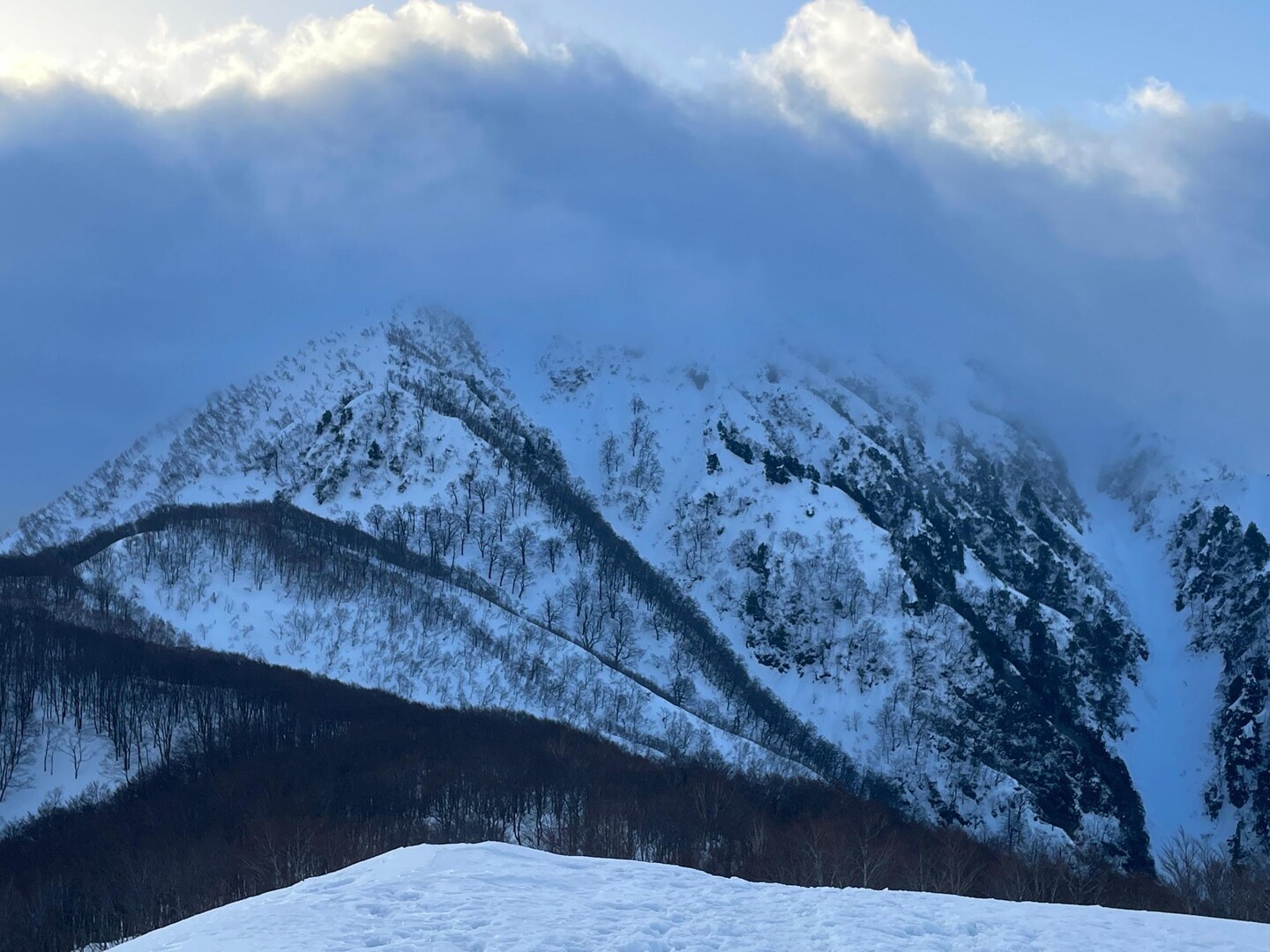 荒島岳 / Ito_sanさんの荒島岳の活動データ | YAMAP / ヤマップ
