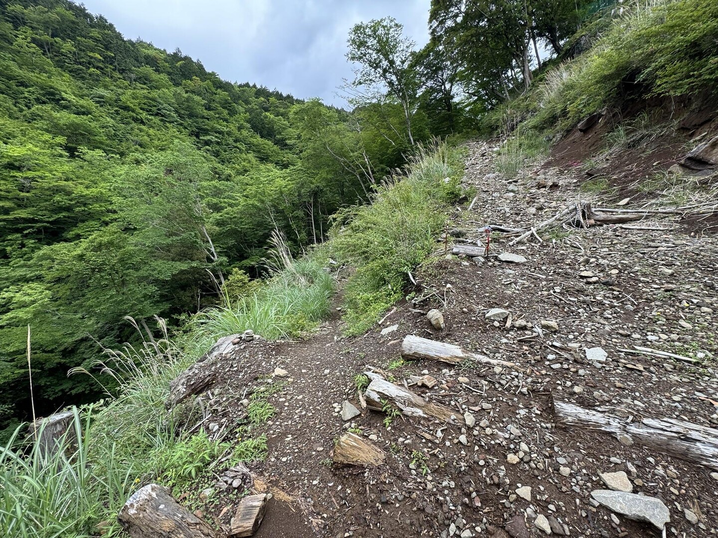 yujiさんの投稿したフィールドメモ | YAMAP / ヤマップ