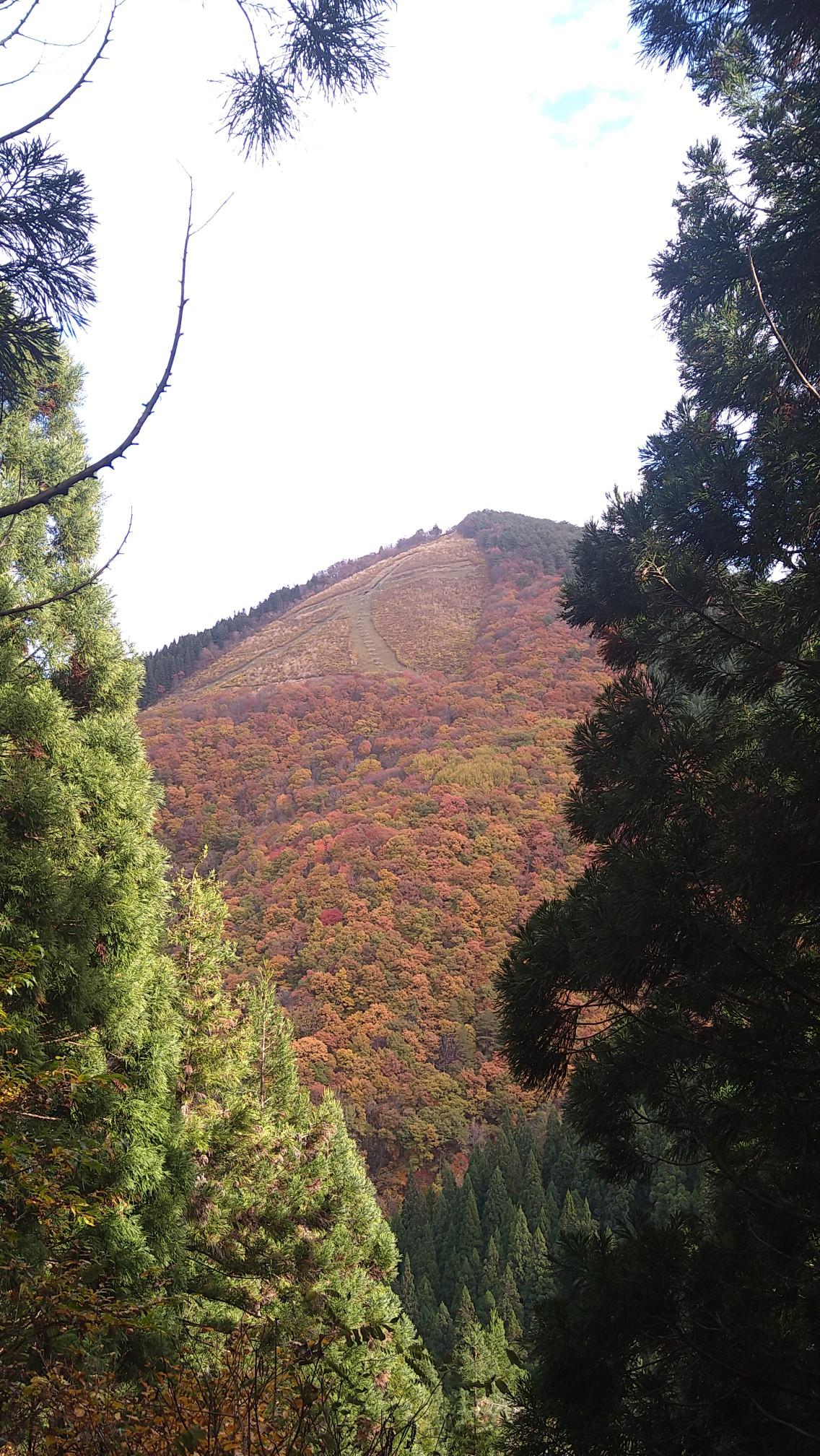 ご無沙汰してました🍁岩神山・鳳凰山・秋葉山・長根山 / すっちぃぃさんの鳳凰山(秋田県)の活動データ | YAMAP / ヤマップ