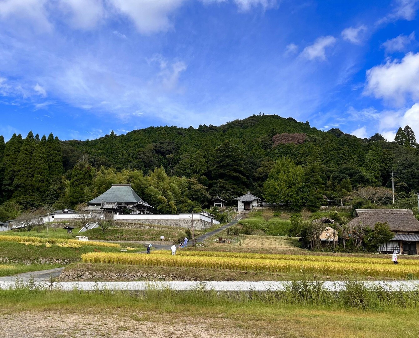 あっさりと八塔寺山・飯盛山 / yu-kunさんの八塔寺山の活動データ | YAMAP / ヤマップ