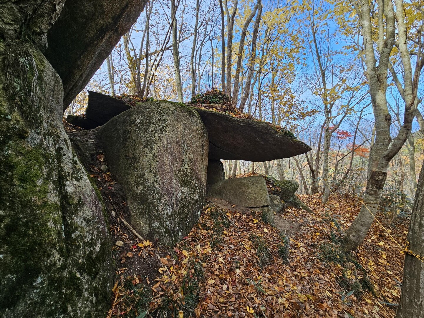 花塚山～UFO不時着か？🛸 / 花花さんの花塚山の活動データ | YAMAP / ヤマップ