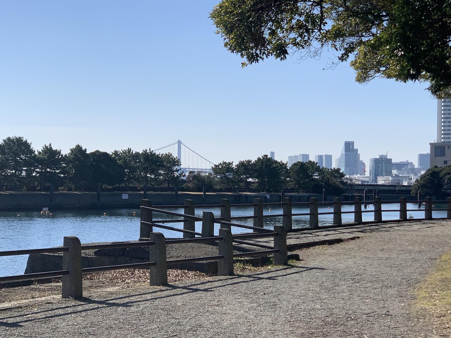 R5.2.6 新樋の口山・樋の口山・御亭山・富士見山・八景山・大山 / 東海道五十三次（日本橋・品川宿・川崎宿）の写真14枚目 / 新樋の口山を目指すと、レインボーブリッジ | YAMAP ...