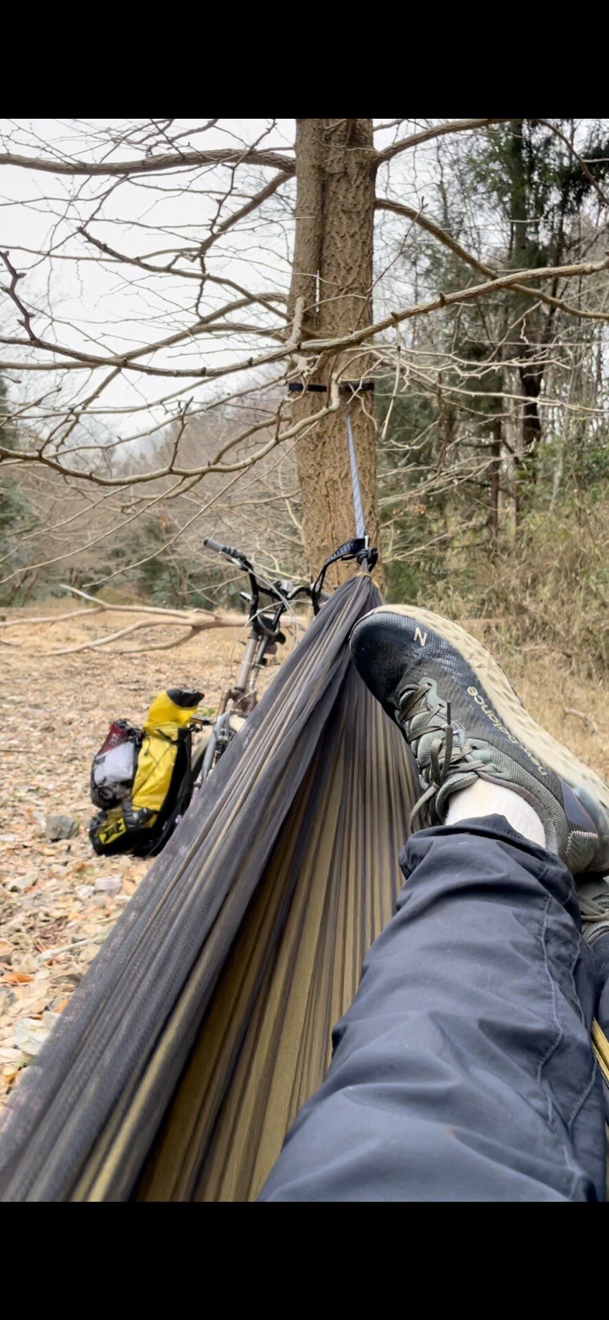 裏山でハンモック / NNNRさんのモーメント | YAMAP / ヤマップ