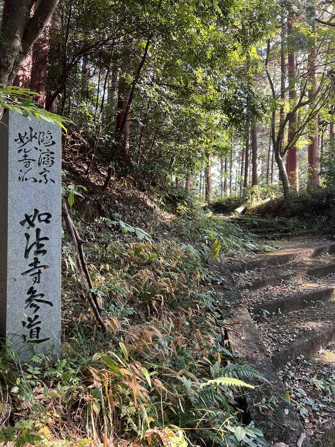 私が「伊豫の神童」🤣🤣🤣 と呼ばれ... / KuriChanさんのモーメント | YAMAP / ヤマップ