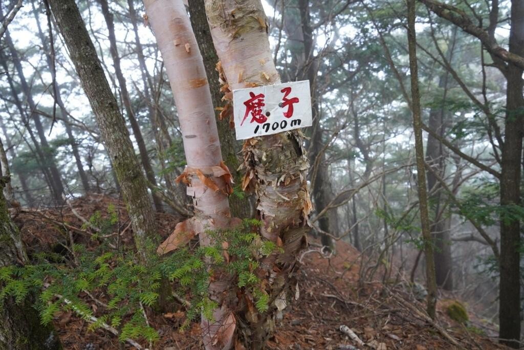 魔子の山 / Rikumamiさんの瑞牆山・金峰山の活動データ | YAMAP / ヤマップ