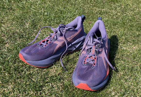 【コソ練㉟🏃‍♂️五稜郭公園】20251119 / いけたろさんの函館市の活動データ | YAMAP / ヤマップ