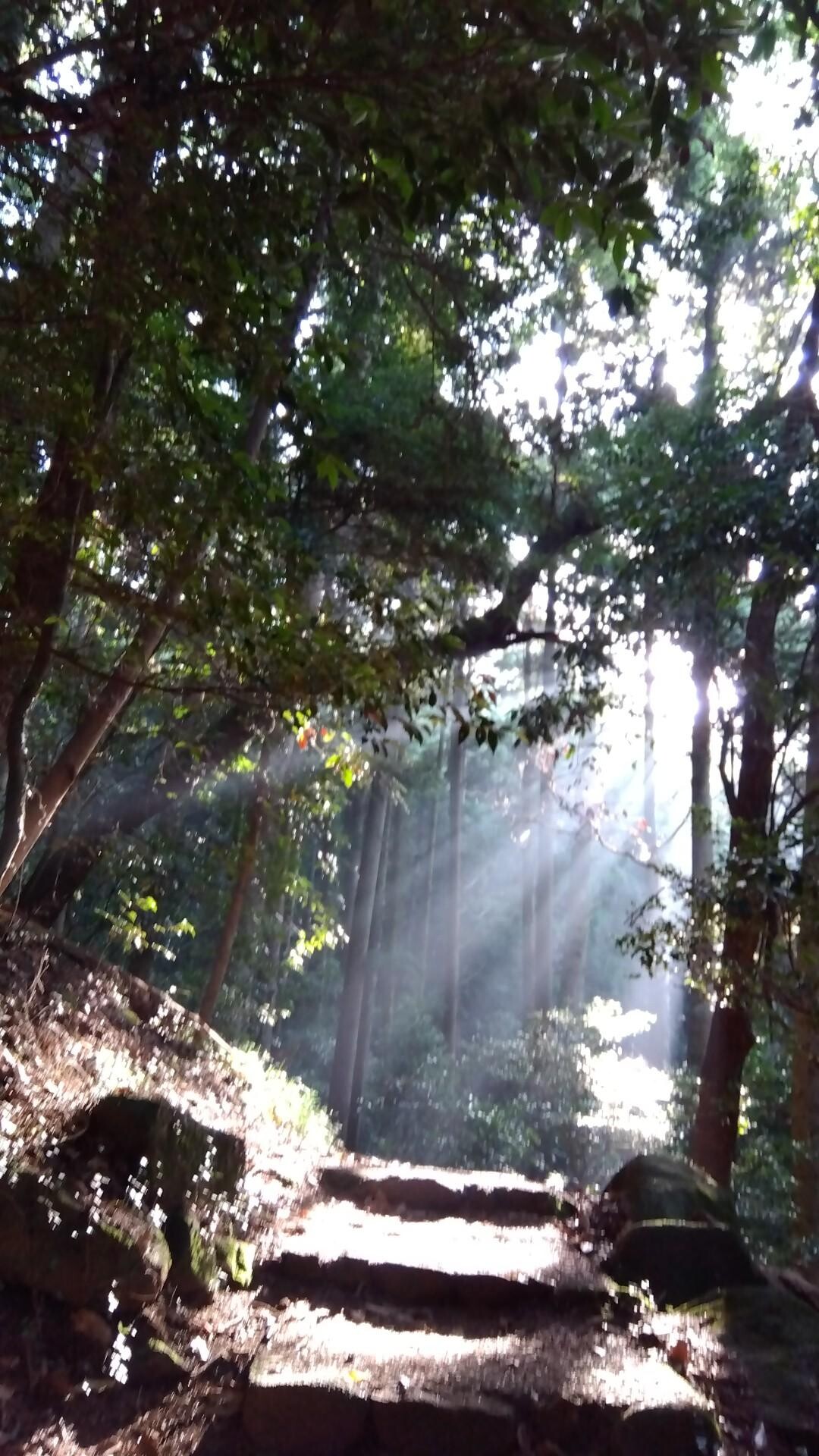 筑波山（女体山） / w.miyukiさんの筑波山の活動データ | YAMAP / ヤマップ