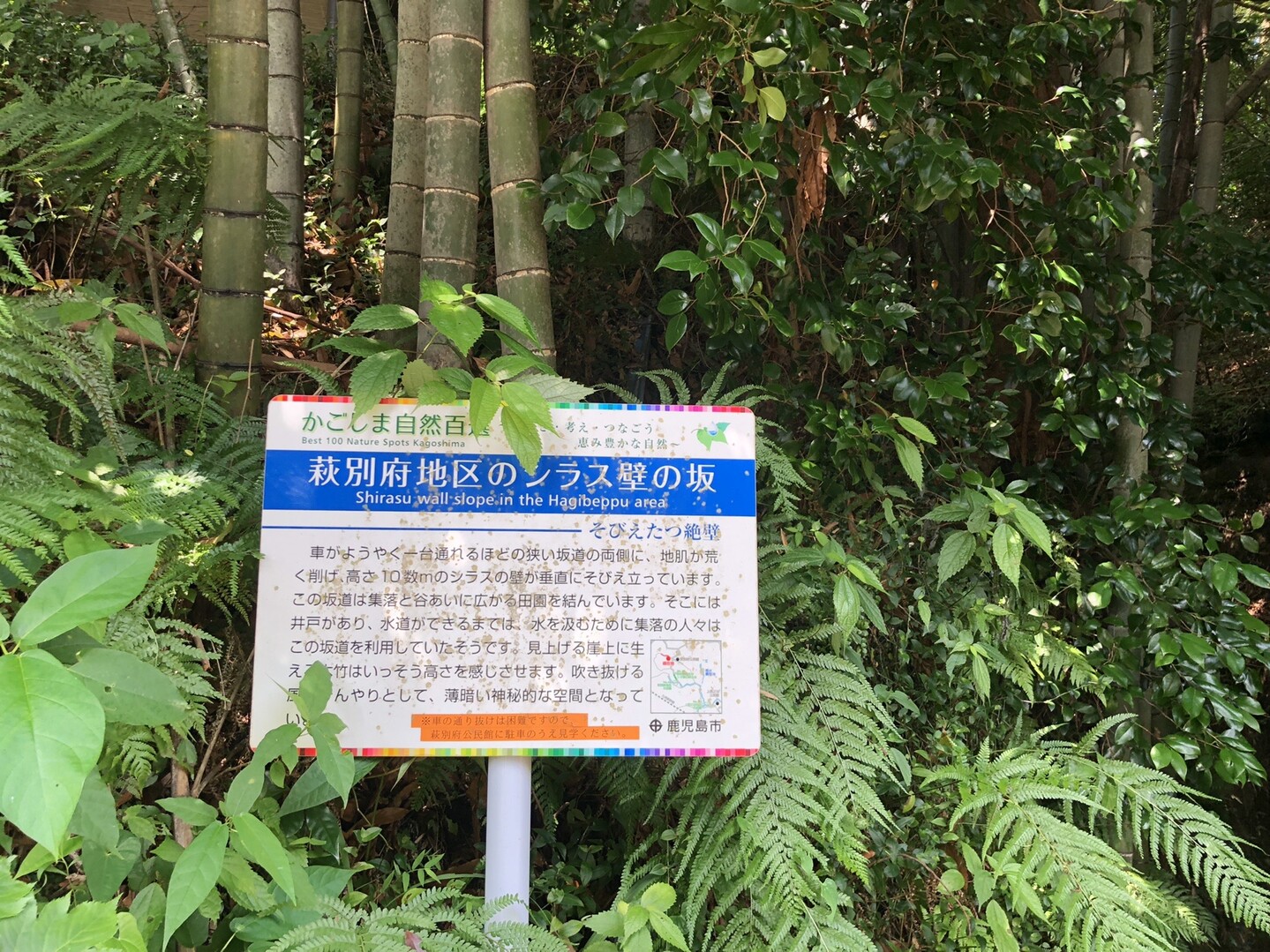 夏の新緑スポット@鹿児島 かごしま自然百... / 963さんのモーメント | YAMAP / ヤマップ