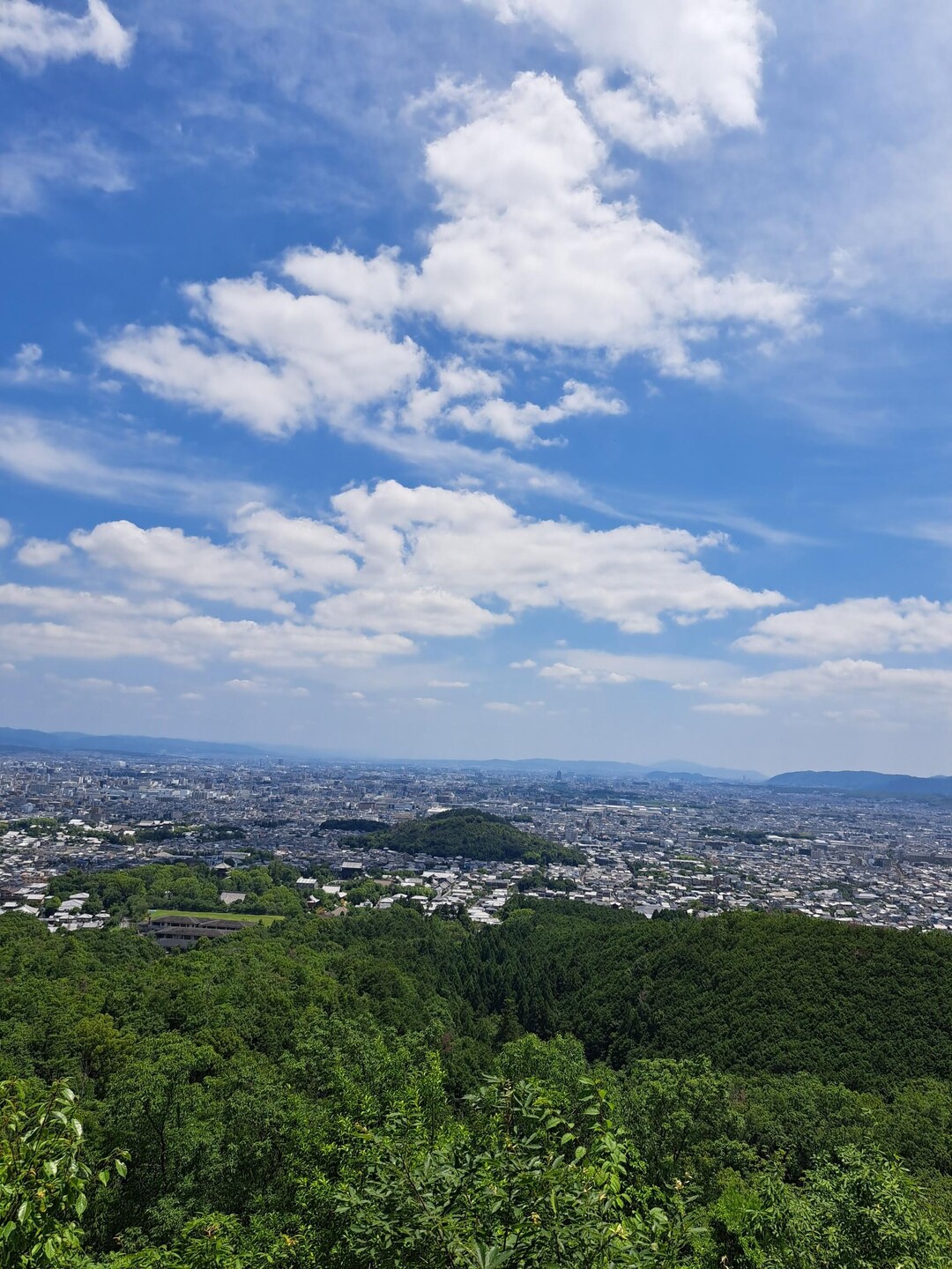 三の丘・成就山 / 京都一周トレイルの写真7枚目 | YAMAP / ヤマップ