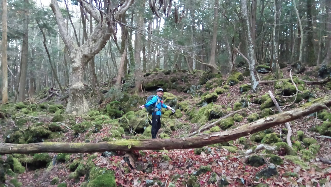 OMM StraightA Day2 / Mori-zさんの三方分山・パノラマ台の活動データ | YAMAP / ヤマップ