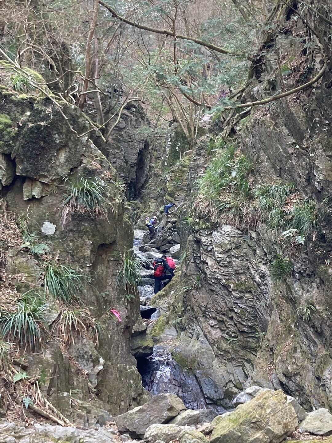 棒ノ嶺棒ノ折山・黒山・逆川ノ丸・興越山・岩茸石山・高水山・馬仏山・惣岳山 バブルス213さんの棒ノ折山（棒ノ嶺）の活動データ