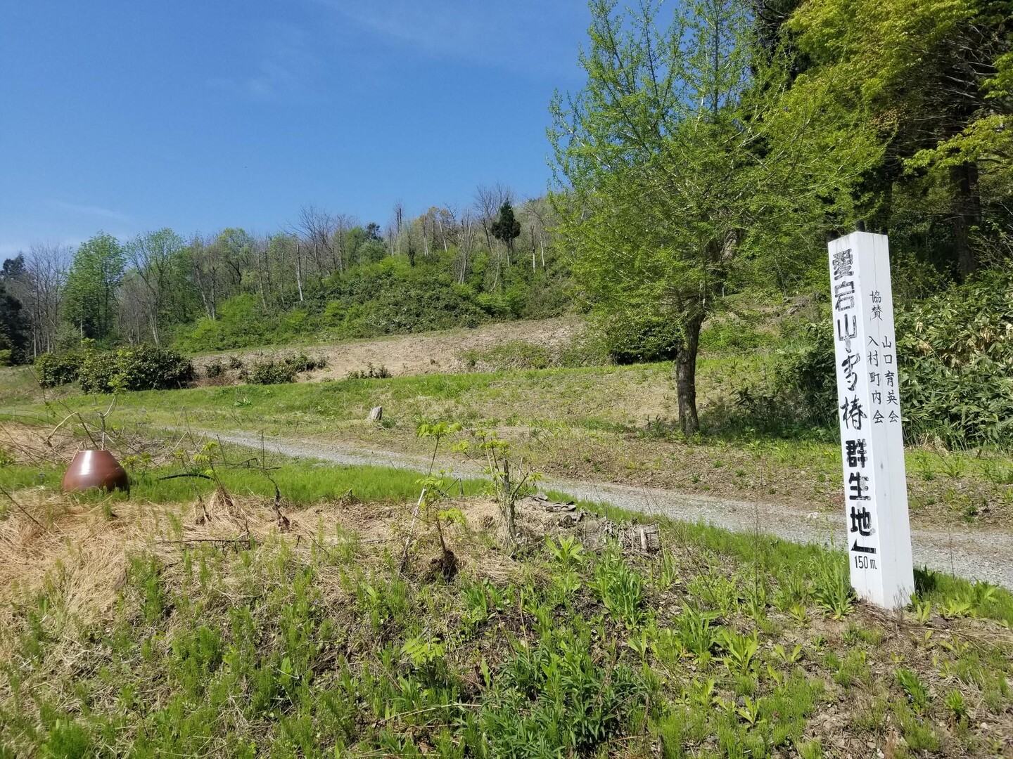 愛宕山-2024-04-22 / ta-さんの時水城山・丸山の活動データ | YAMAP / ヤマップ