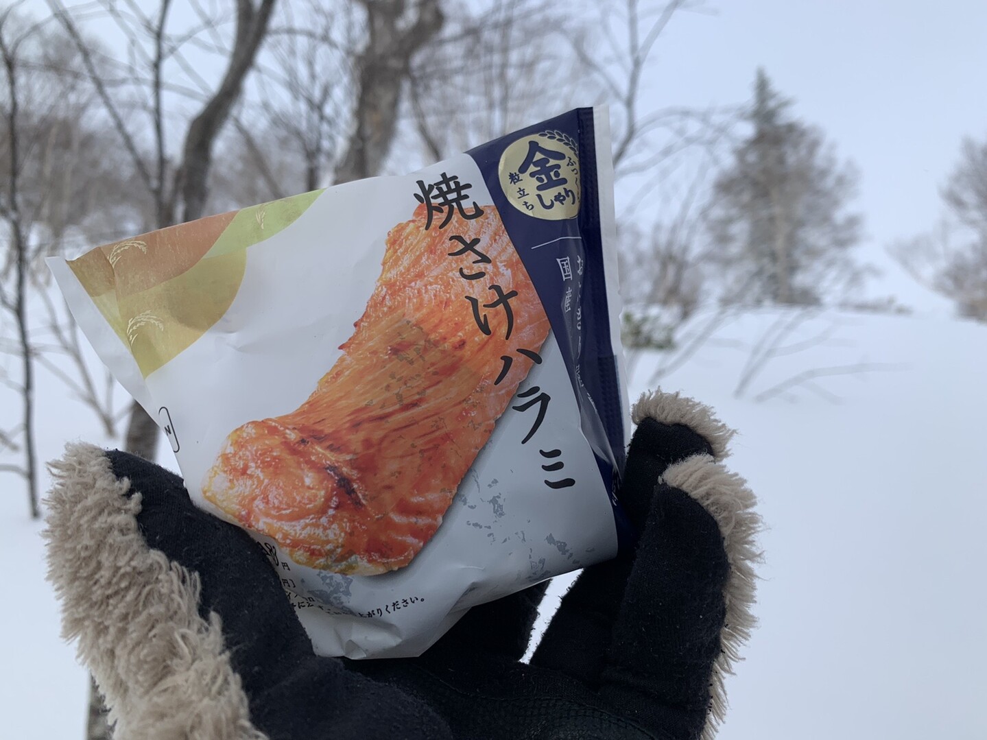 19/20#4 薄別からの無意根山 / bono.さんの無意根山の活動データ | YAMAP / ヤマップ