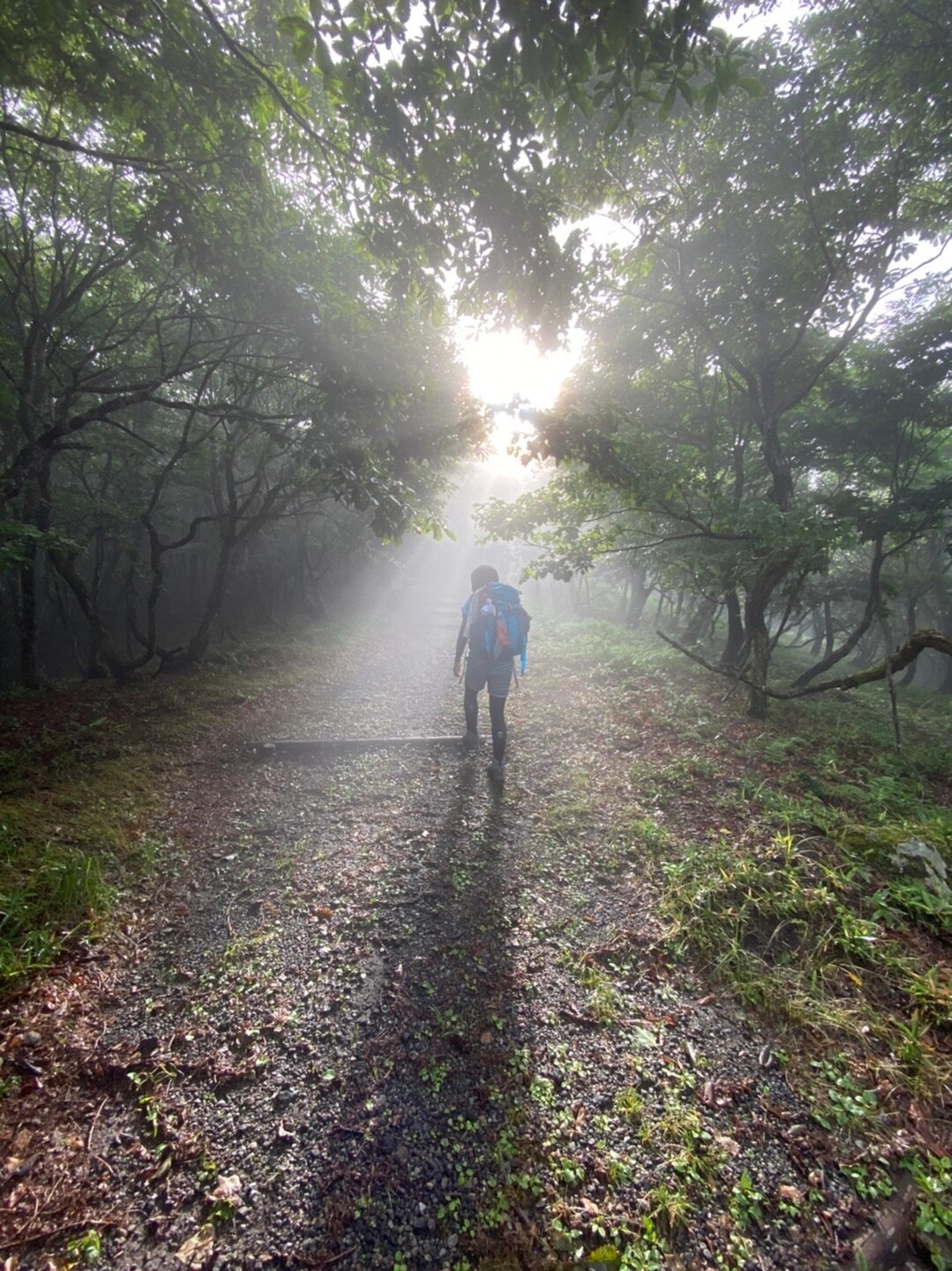 駒の尾山・鍋ヶ谷山・船木山・後山・大海里山・ダルガ峰 / naoglayさんの後山・船木山・駒の尾山の活動データ | YAMAP / ヤマップ