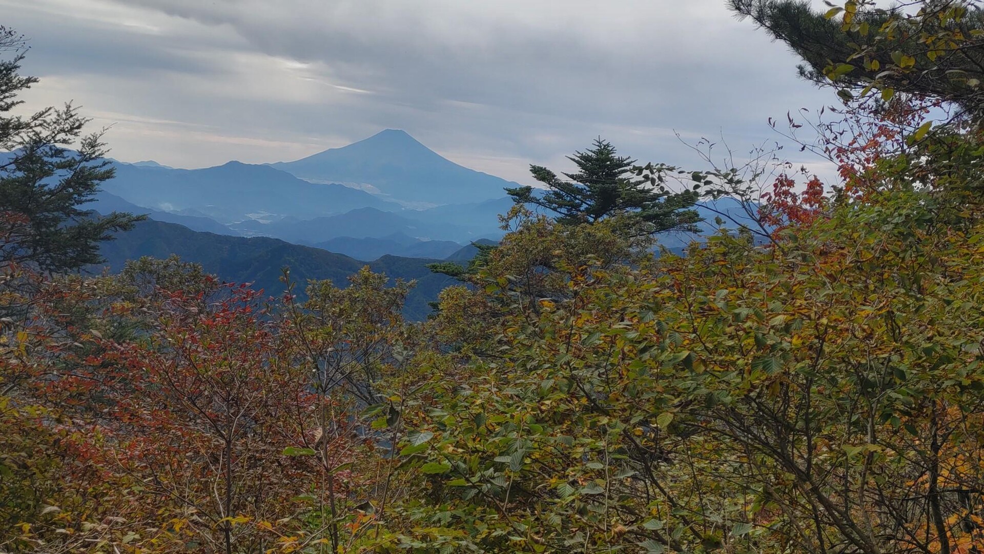 三頭山（東峰）・三頭山（中央峰）・三頭山（西峰） / かみじみーささんの三頭山・槇寄山・土俵岳の活動データ | YAMAP / ヤマップ
