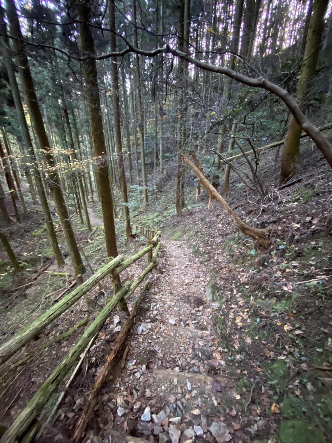 JUN’YAさんの投稿したフィールドメモ | YAMAP / ヤマップ