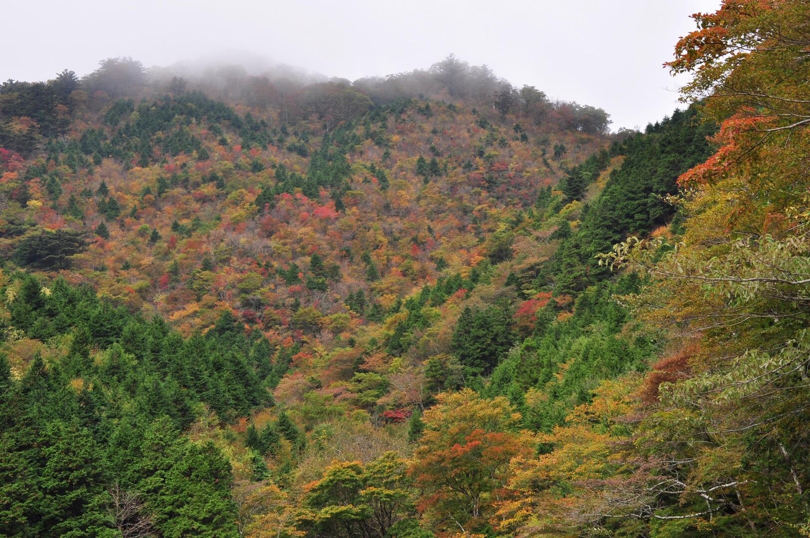2010/10本川紅葉🍁Part2 / ポンコツ山太郎さんのモーメント | YAMAP / ヤマップ
