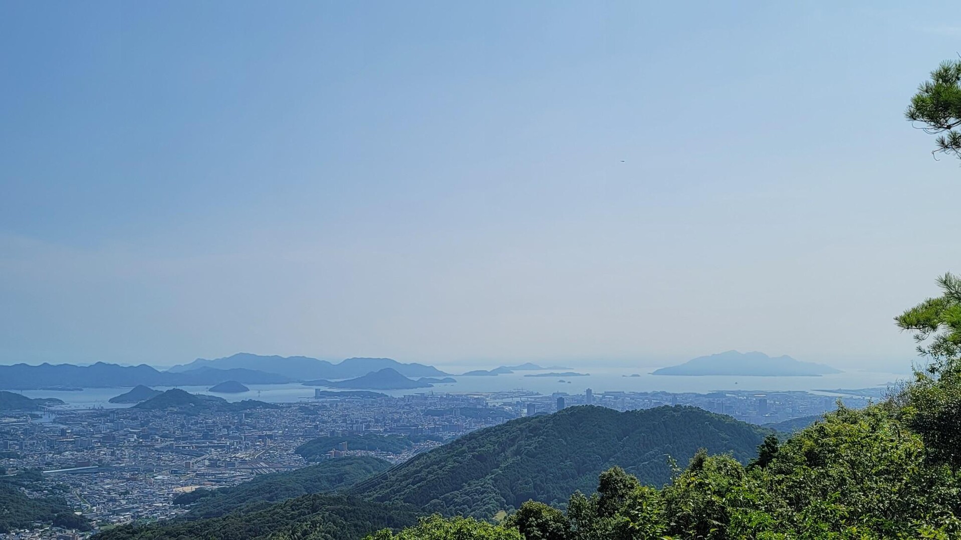 この木なんの木 ️ 二ヶ城山 / Lennonさんの二ヶ城山・松笠山の活動データ | YAMAP / ヤマップ