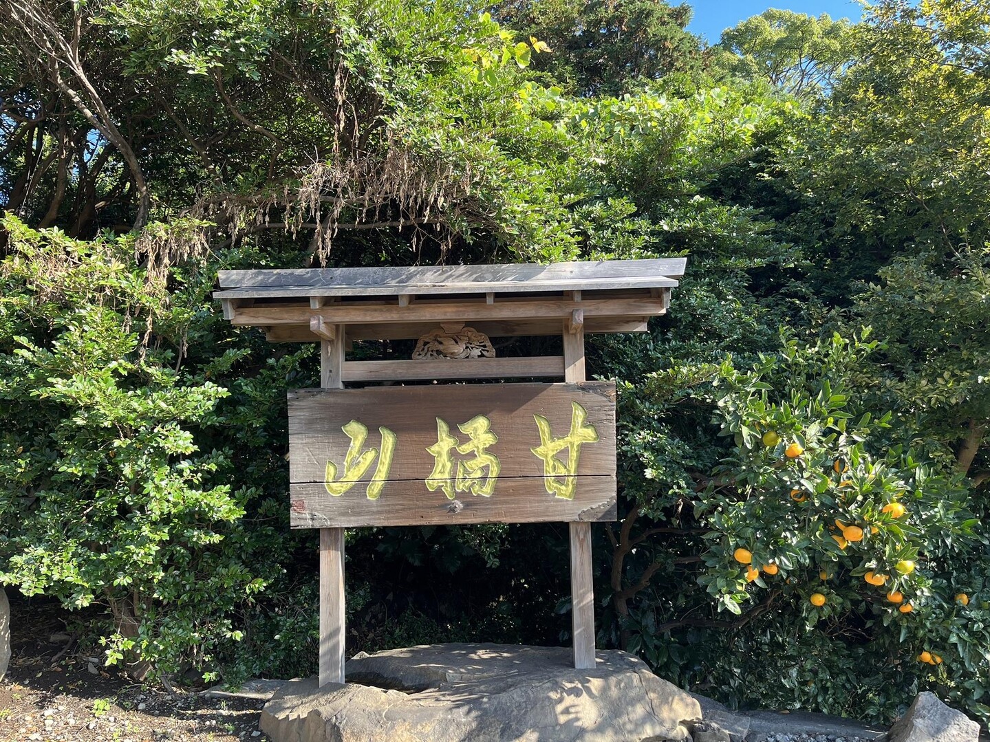 柑橘山🍊 想像以上の絶景でしたー / samiさんのモーメント | YAMAP / ヤマップ