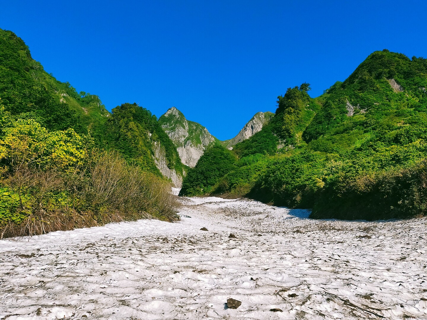 雪渓に惹かれて道迷い💦〜雨飾山〜 / uosukiさんの雨飾山・大渚山・天狗原山・戸倉山の活動データ | YAMAP / ヤマップ