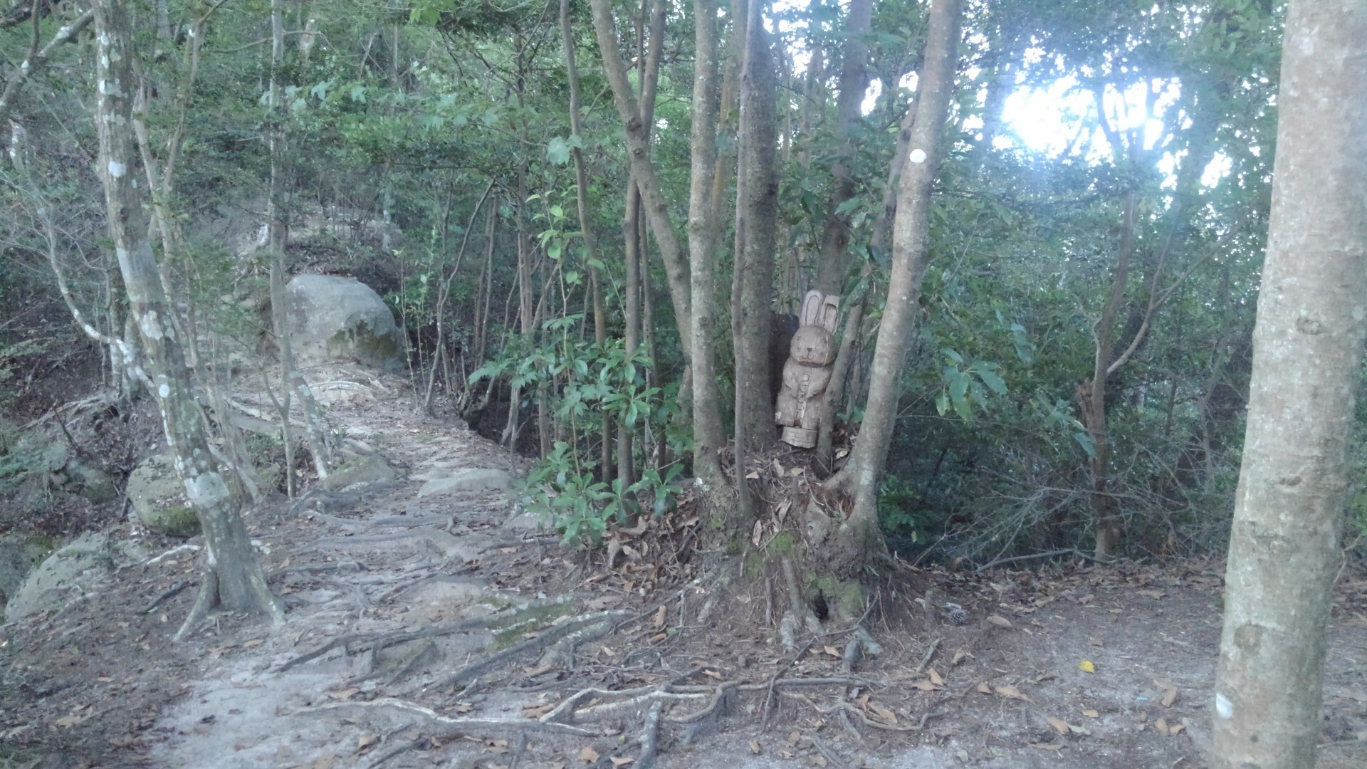 雲興寺から朝練・猿投山 / nob3さんの猿投山・物見山の活動データ | YAMAP / ヤマップ