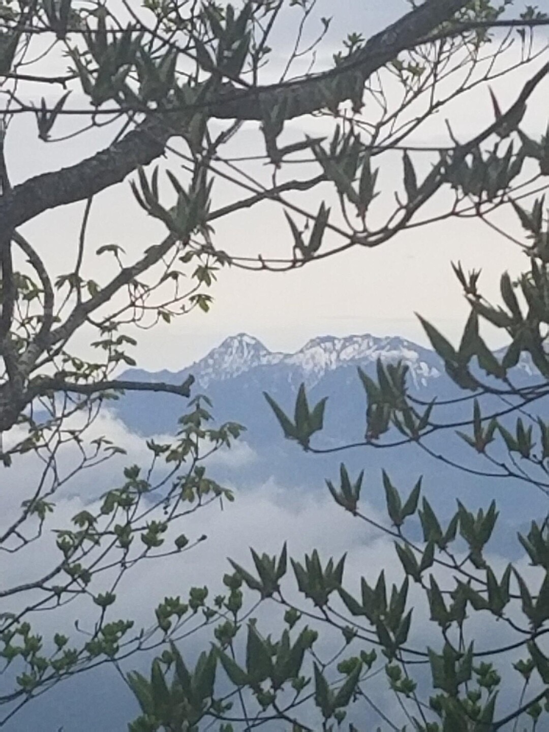 荒船山（経塚山） / Ke さんの荒船山・物語山・大屋山の活動日記 | YAMAP / ヤマップ