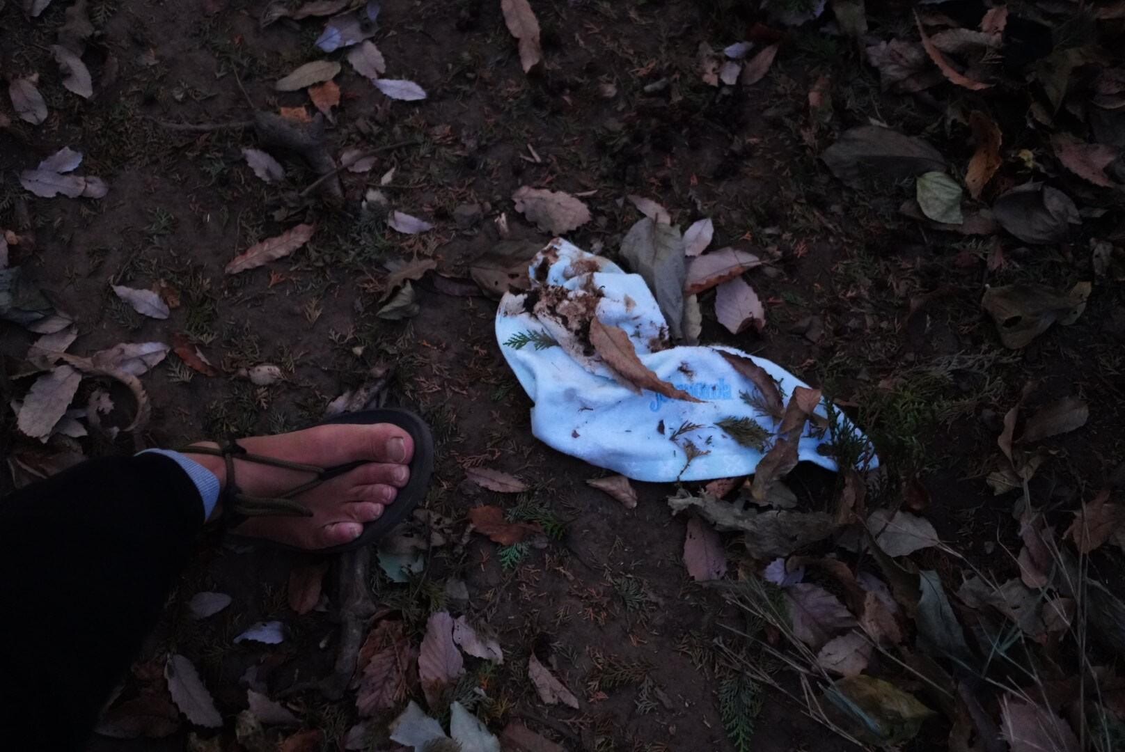 ウンコタオル回収の朝 28分登頂 / ta2さんの鳴神山・吾妻山の活動データ | YAMAP / ヤマップ