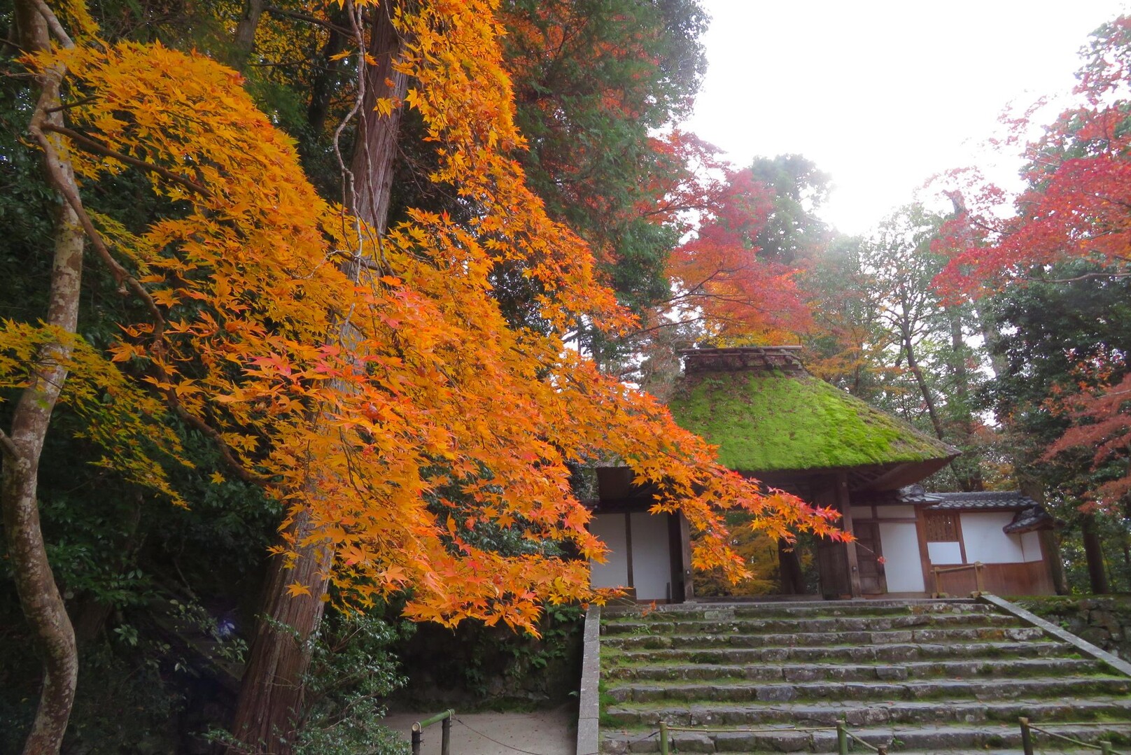 晩秋の南禅寺山・若王子山・大文字山・善気山 / terryさんの大文字山・如意ヶ嶽・稲荷山の活動データ | YAMAP / ヤマップ