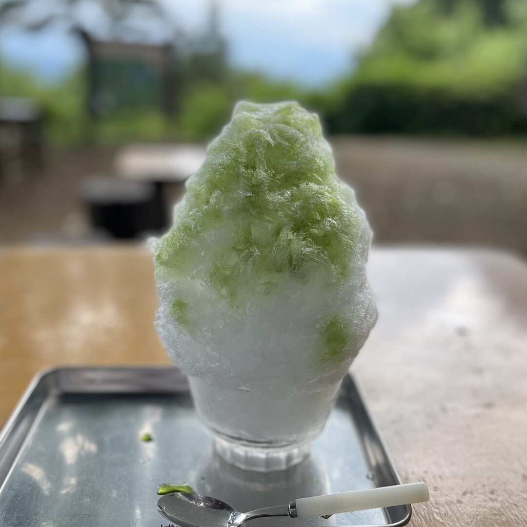 わい♪ @城山茶屋 / junjunさんのモーメント | YAMAP / ヤマップ