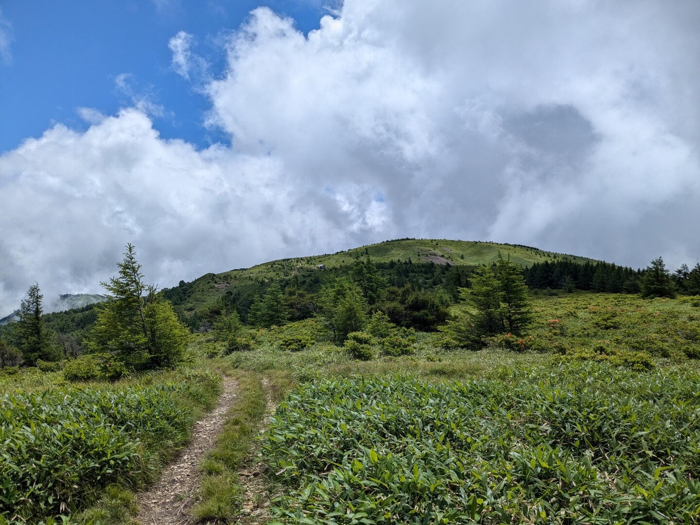 梅雨の晴れ間に鉢伏山縦走 / minoさんの鉢伏山・高ボッチ山・三峰山の活動日記 | YAMAP / ヤマップ