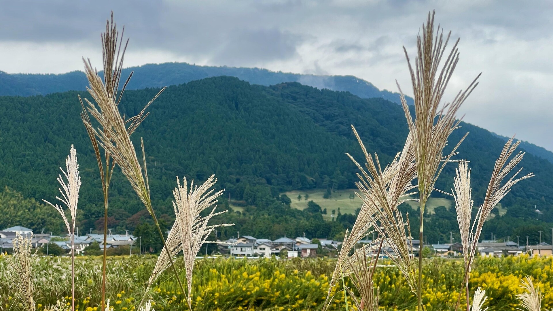 スパイダーネットの洗礼：角田山 / George-Mさんの角田山の活動データ | YAMAP / ヤマップ