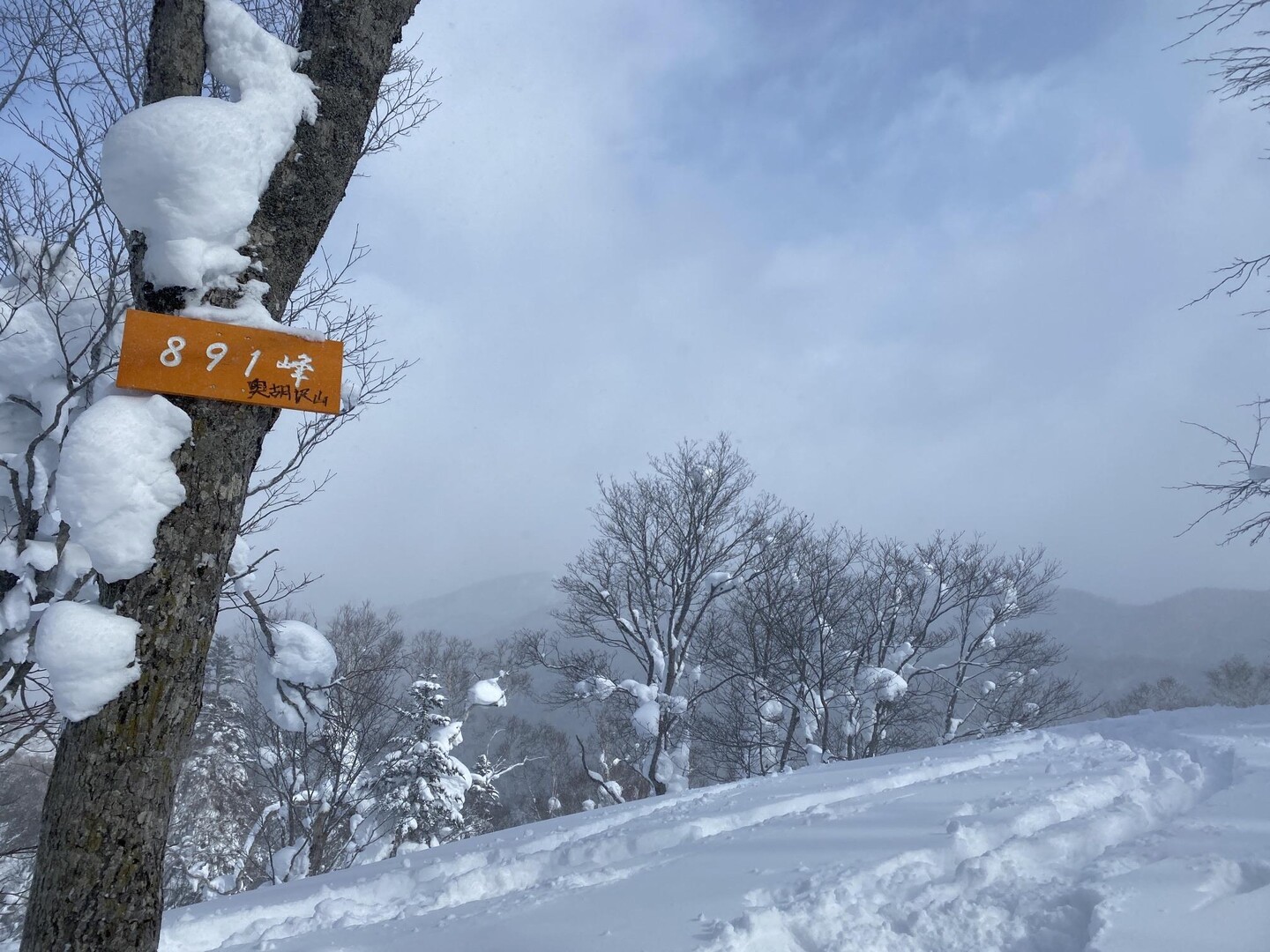 胡桃沢・891峰 / YUMIKO🍦さんの無意根山の活動データ | YAMAP / ヤマップ
