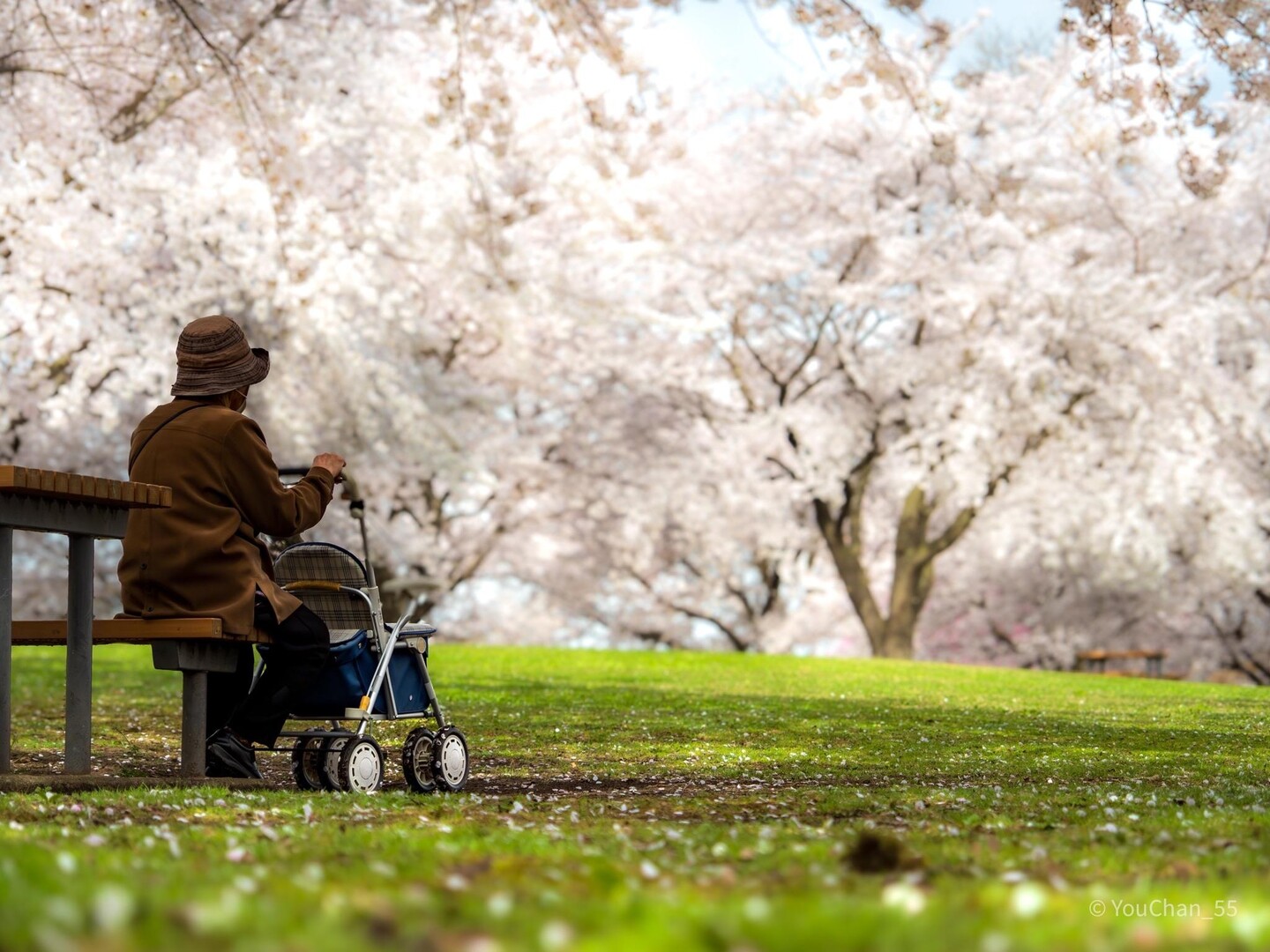 #285 Start Me up. / ようちゃんさんの八戸市の活動データ | YAMAP / ヤマップ