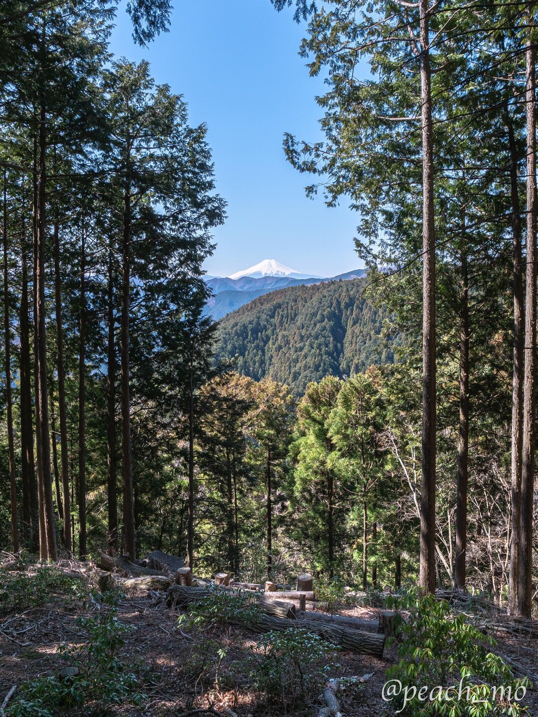 千足BS〜鶴脚山〜馬頭刈山〜高明山〜十里木BS / peachさんの大岳山・御岳山・御前山の活動データ | YAMAP / ヤマップ