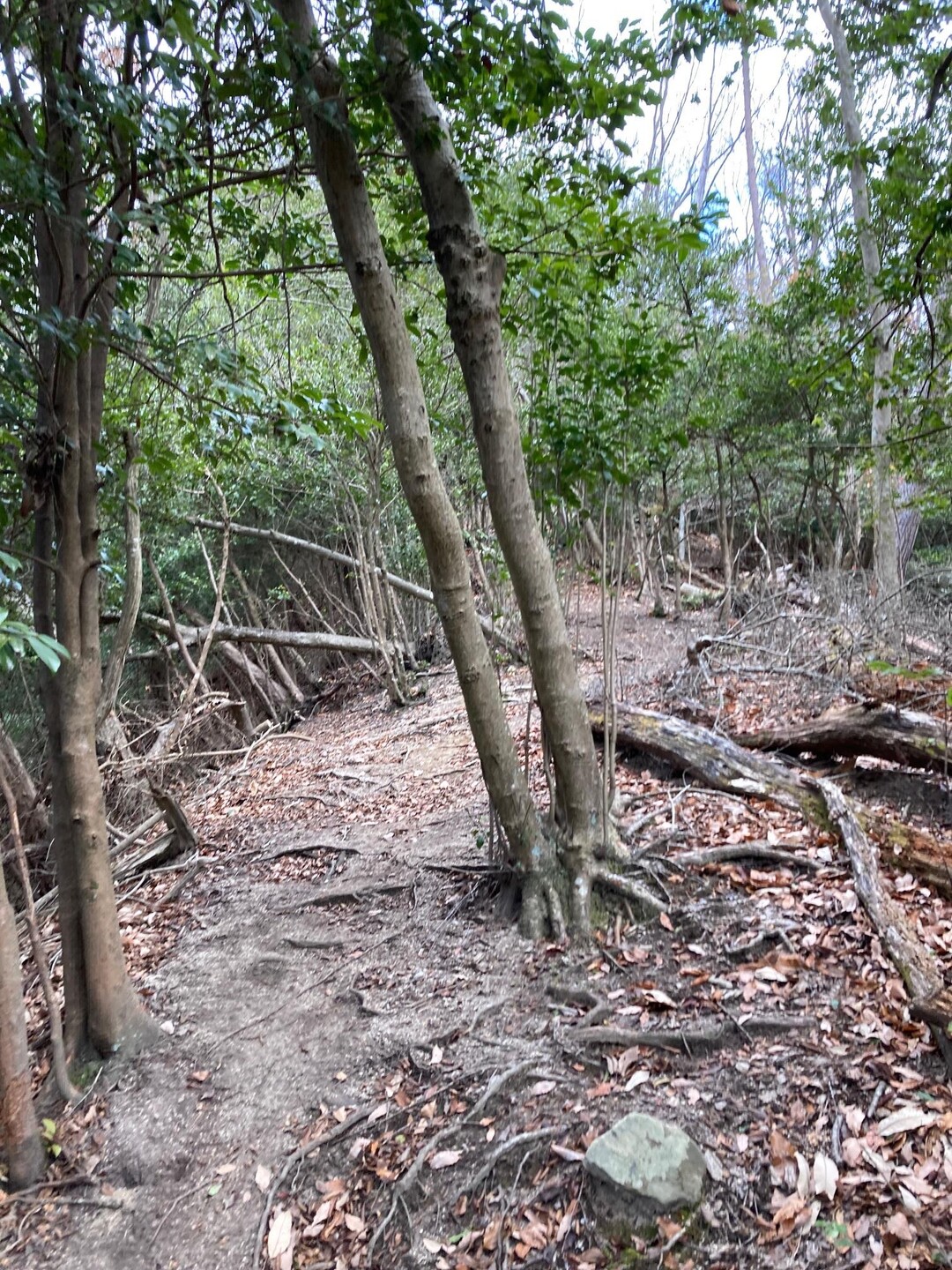 K.KAIさんの投稿したフィールドメモ | YAMAP / ヤマップ