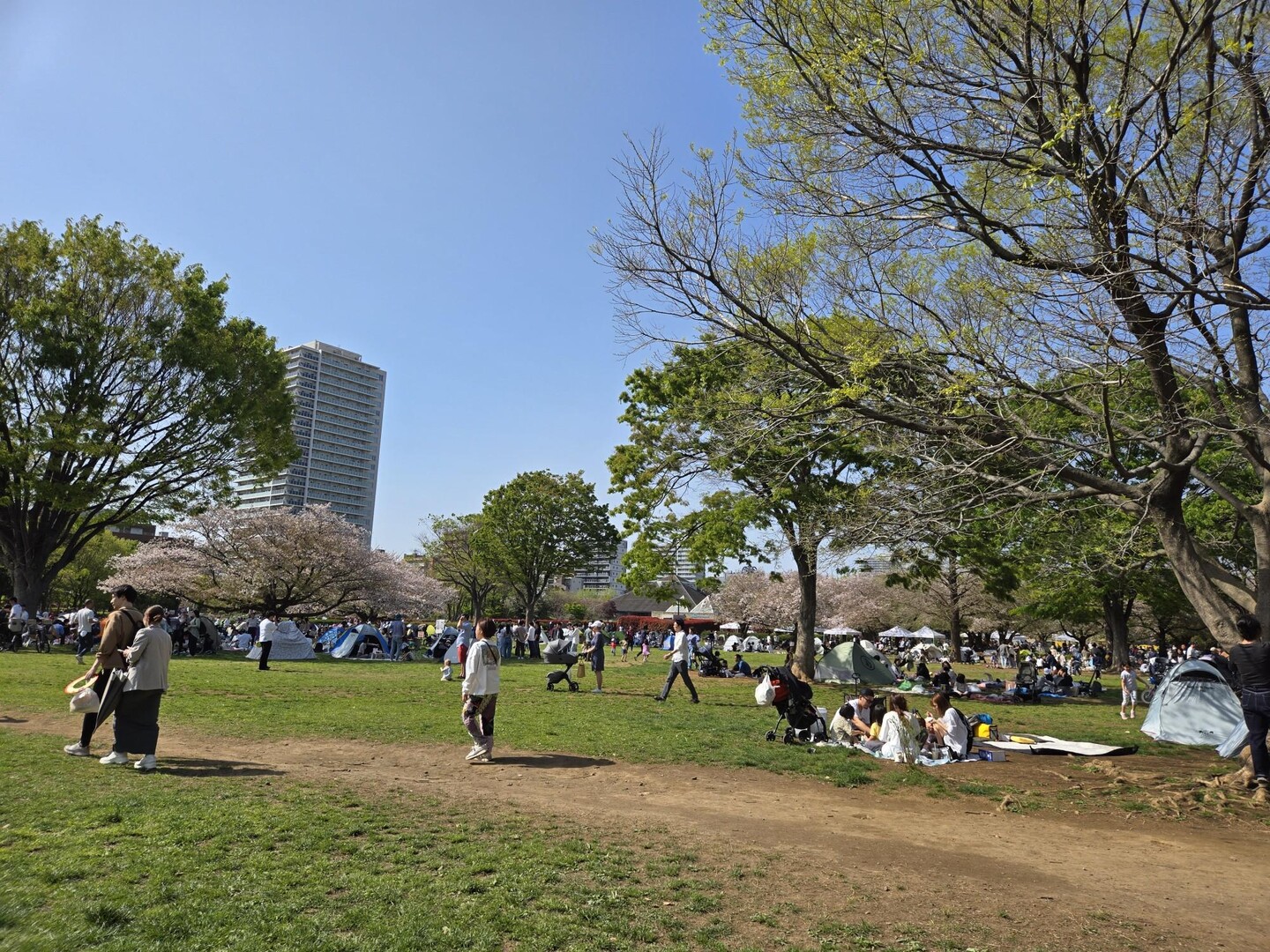 今週は晴天なのにどこも行けず、フラット家... / akky.mさんのモーメント | YAMAP / ヤマップ