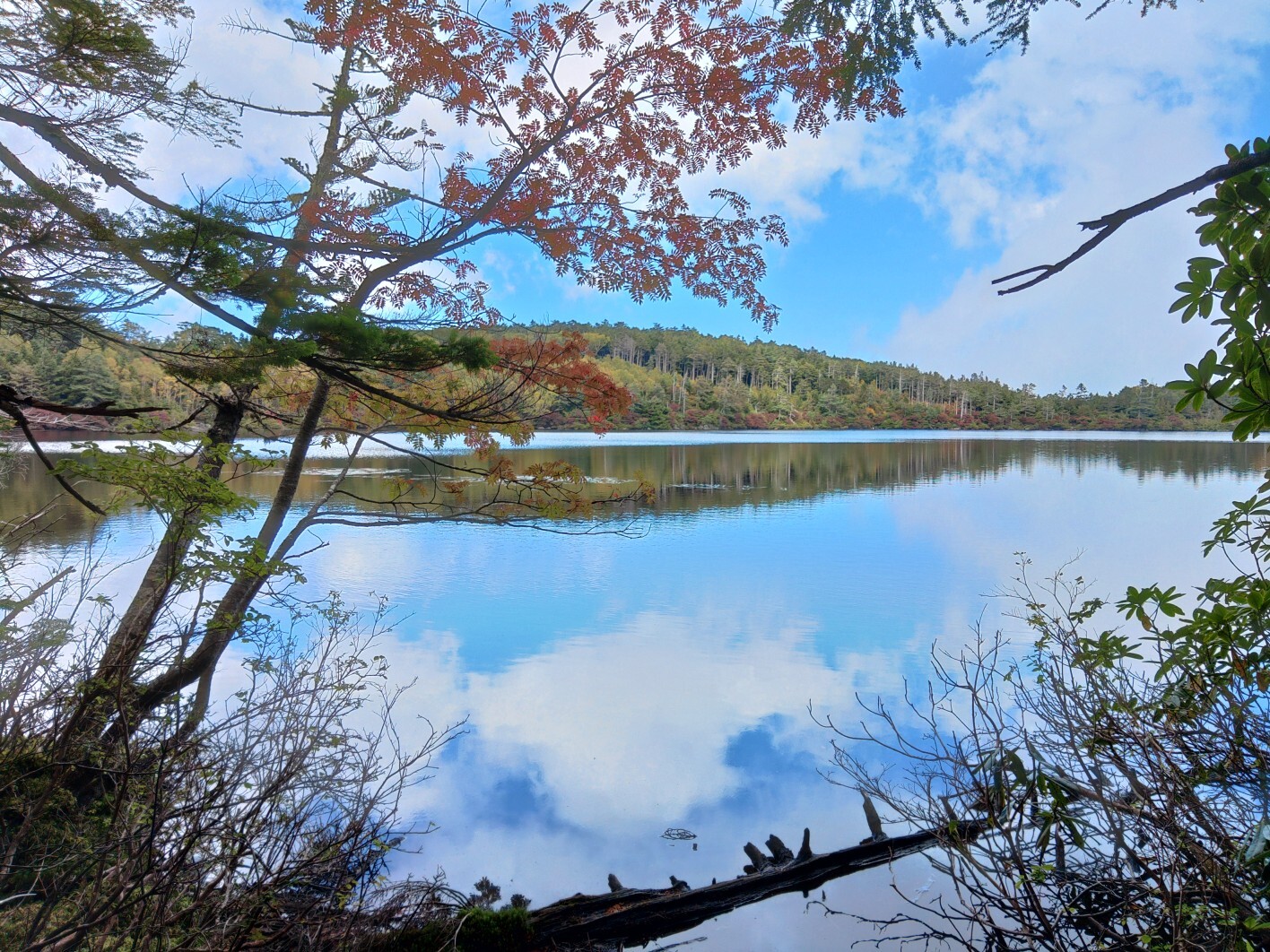 北八ヶ岳① 高見石～青苔荘へ / salmaさんの蓼科山・横岳・縞枯山の活動データ | YAMAP / ヤマップ