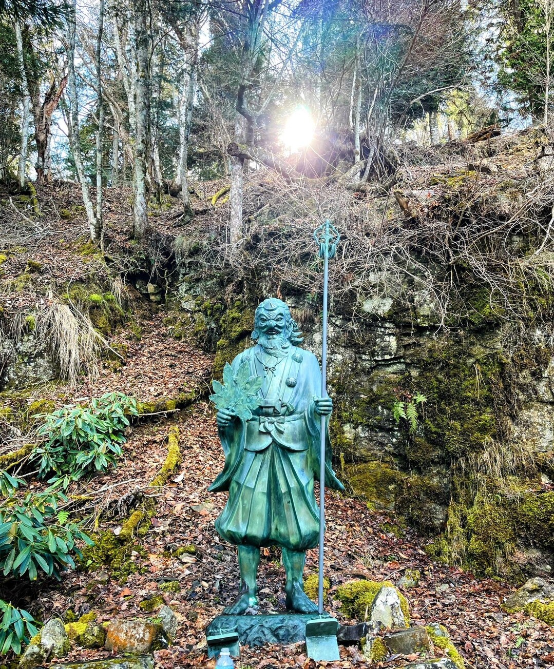 高越山 Sunny mountain climbing without snow / Bloomin'さんの高越山・奥野々山の活動データ | YAMAP / ヤマップ