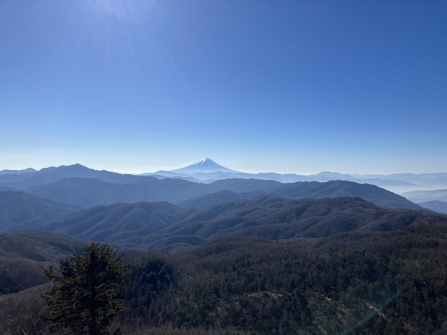 山梨百名山 笠取山 / ELLYさんの和名倉山・笠取山・東仙波の活動データ | YAMAP / ヤマップ