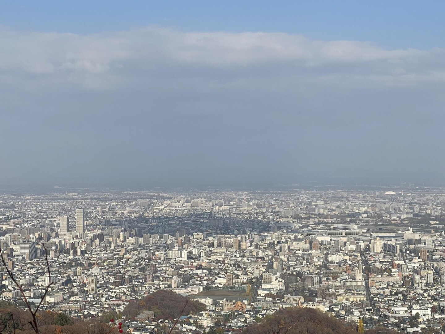 赤坂山・大倉山・奥三角山(よこして山)・三角山 / D51(デコイチ)さんの三角山・大倉山・円山の活動データ | YAMAP / ヤマップ