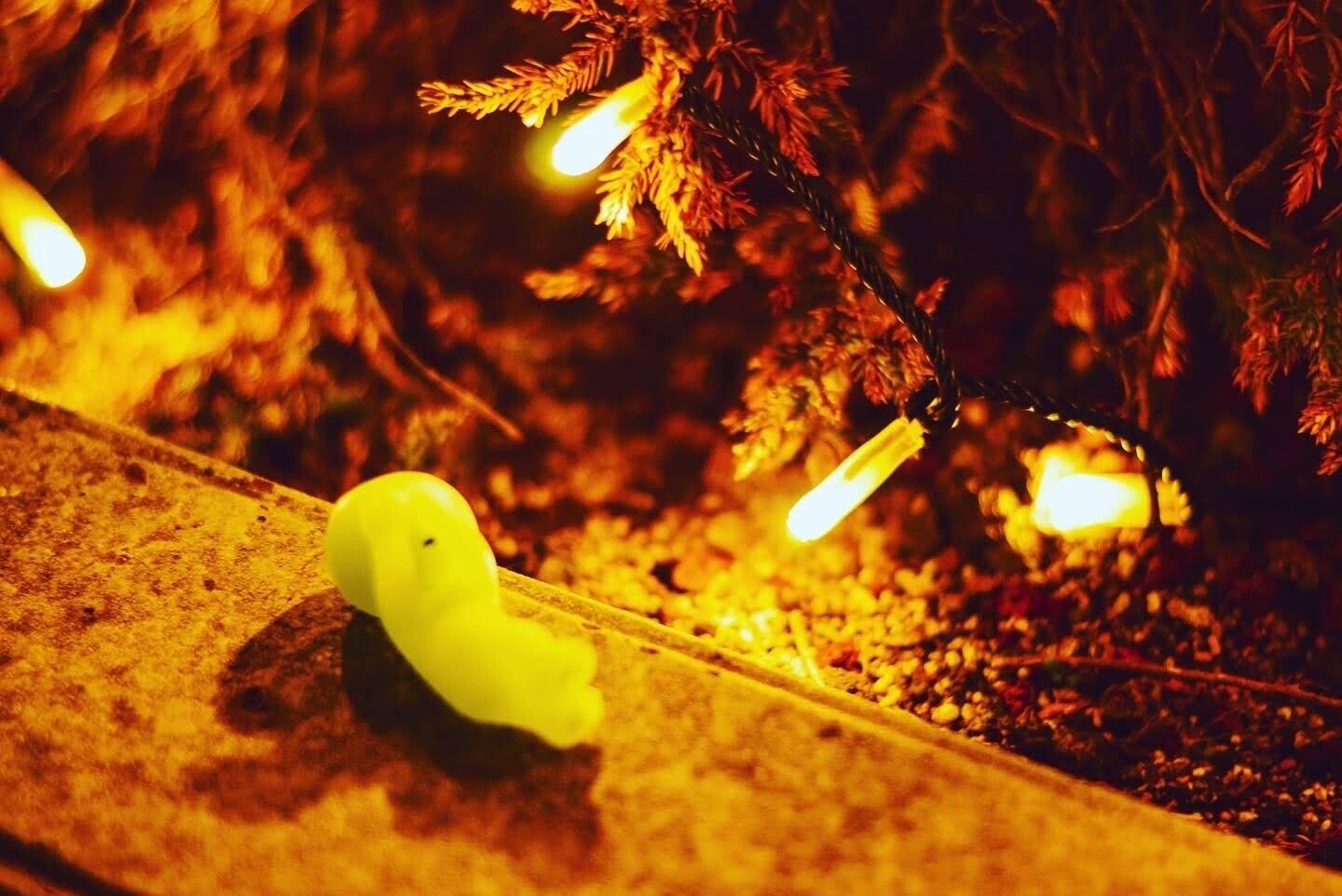 2022.2月 1月はスマホ、2月は一... / Mai.さんのモーメント | YAMAP / ヤマップ