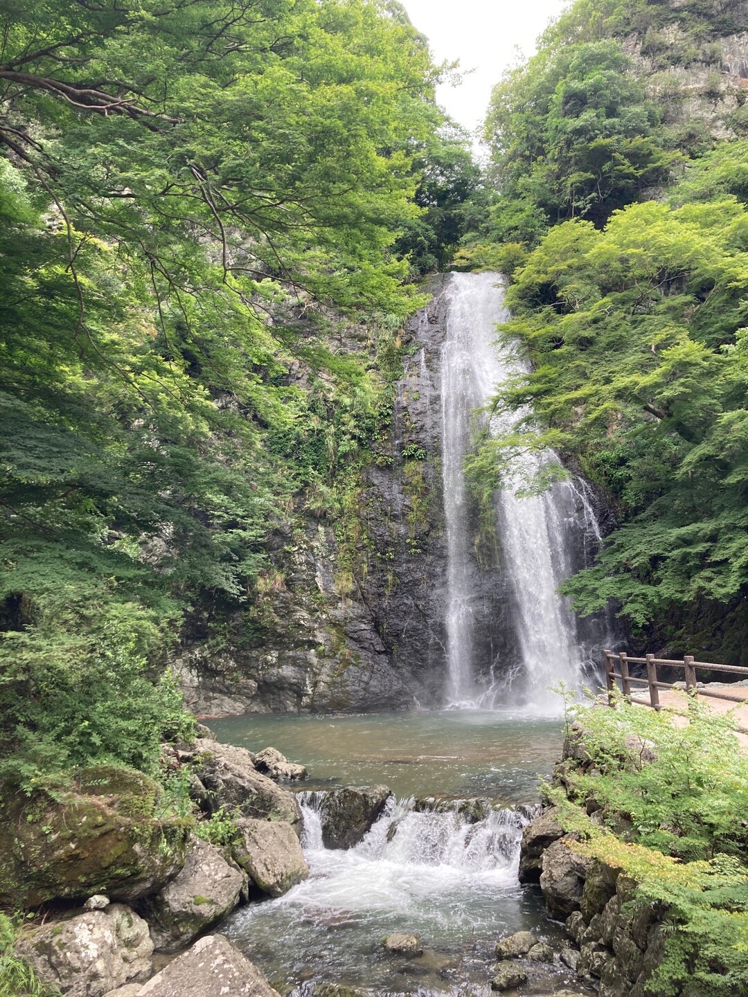 STM（川西〜箕面） / masapuさんの六個山・鉢伏山・明ヶ田尾山・五月山の活動データ | YAMAP / ヤマップ