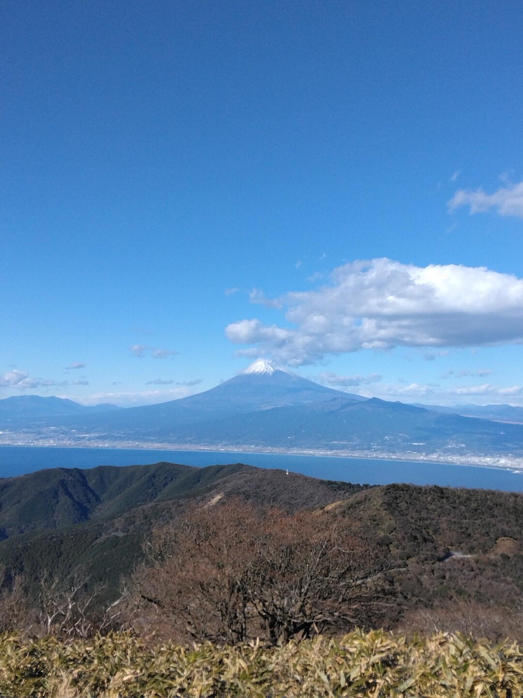 2024伊豆トレイルジャーニー70K / しんいちさんの金冠山・達磨山・葛城山の活動データ | YAMAP / ヤマップ