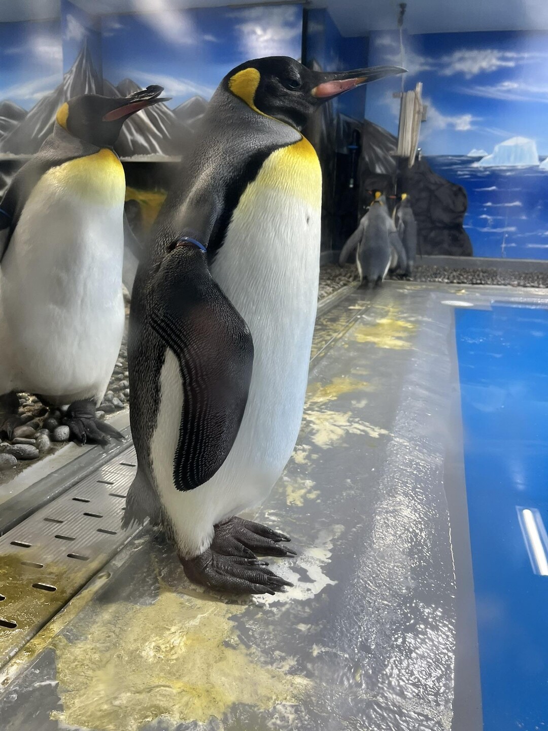 4月14日。 長男の大学生活の様子を見が... / HIROTOさんのモーメント | YAMAP / ヤマップ