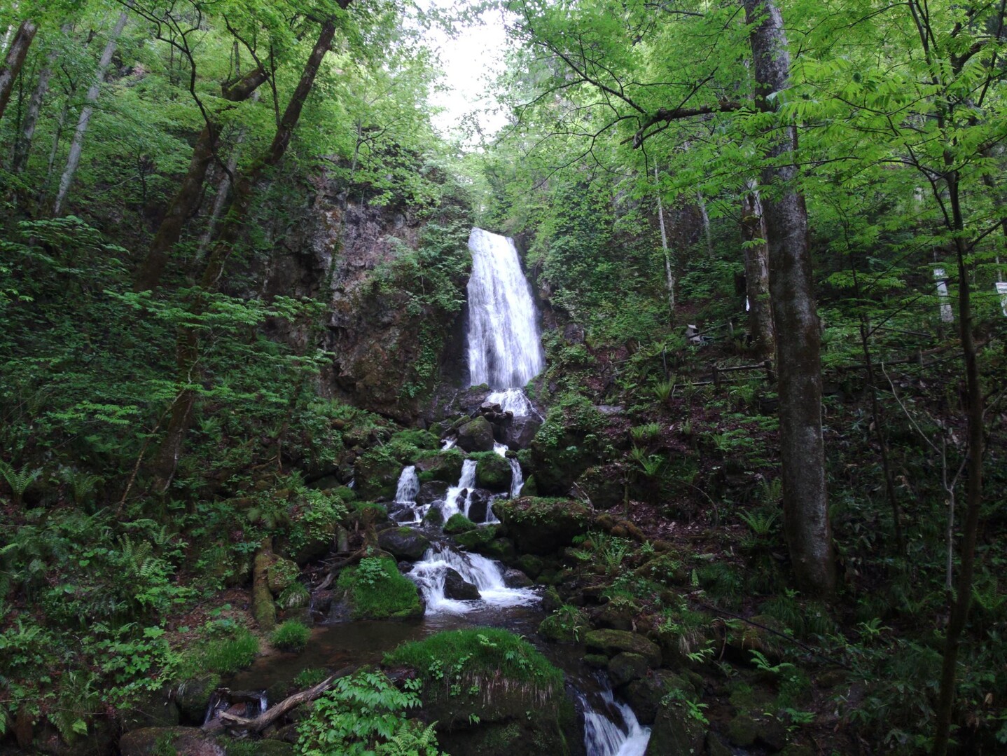 不動の滝 / ゆう98さんの岩手山・八幡平・安比高原 50km トレイルの活動データ | YAMAP / ヤマップ