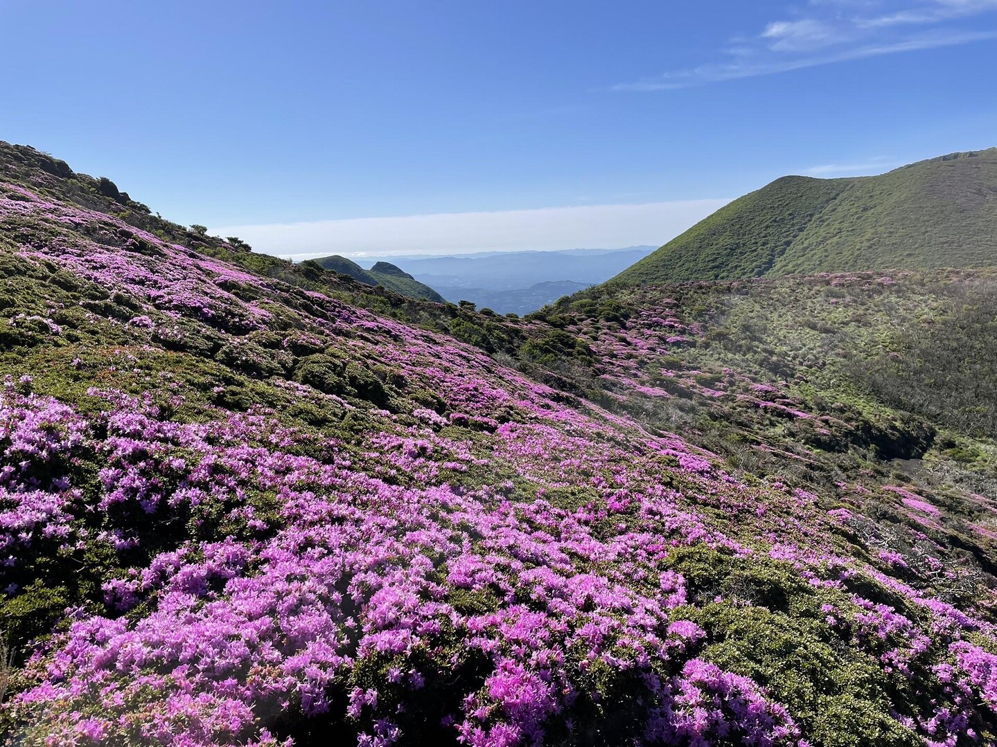 平治岳 R6.5.29 / FcBanzai!!さんの九重山（久住山）・大船山・星生山の活動データ | YAMAP / ヤマップ